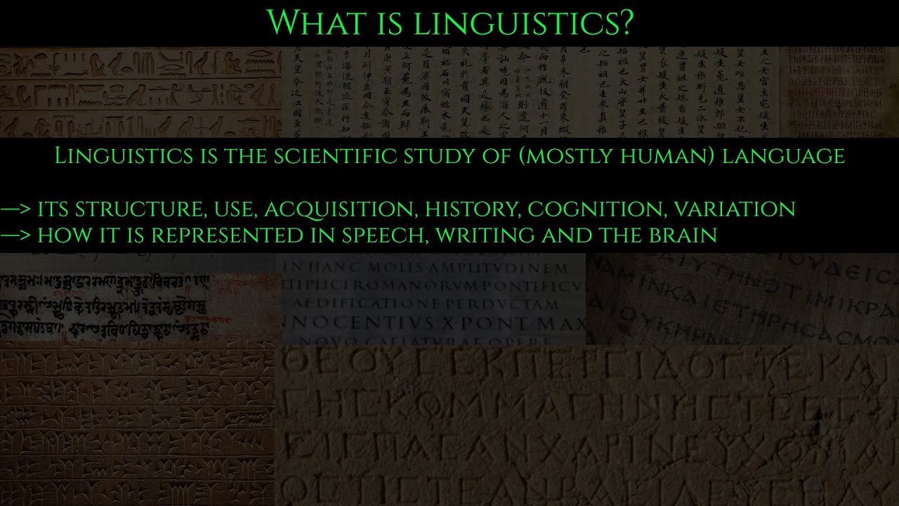 Linguistics 101:  Short Introduction into Various Fields