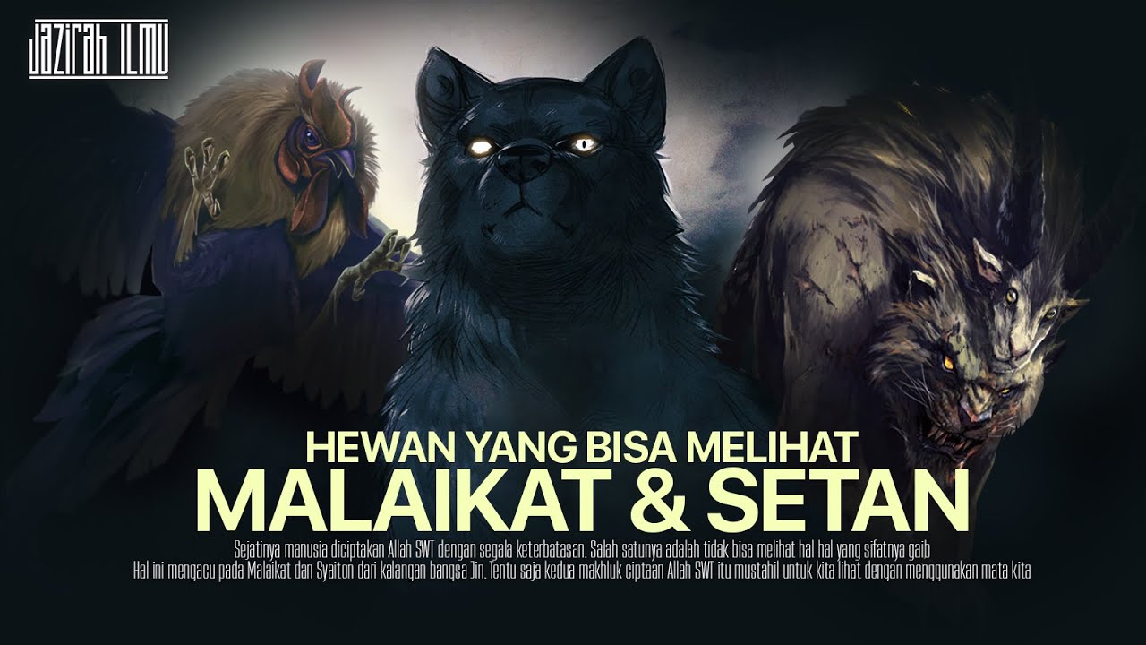 Inilah Beberapa Jenis Hewan Yang Bisa Melihat Malaikat dan Setan ...