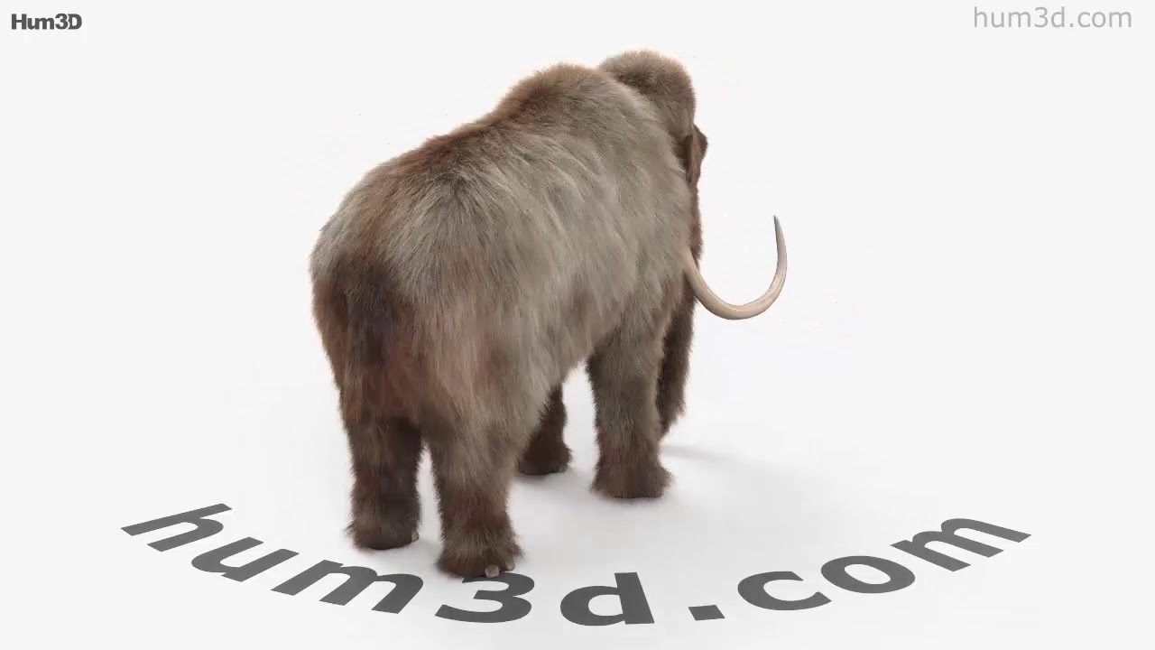 Mammoth 3D model by 3DModels.org