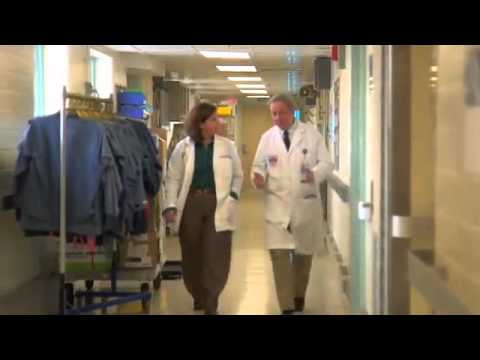 Meet a Veterinarian: LifeWorks Careers