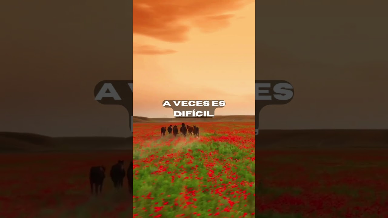 Todo pasa por una razón/ Frases Inspiradoras/Frases bonitas/Frases positivas #viral