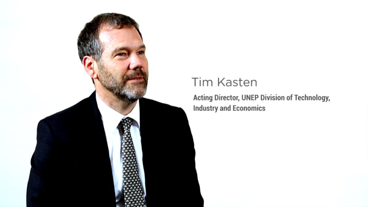 UNEA and sustainable development