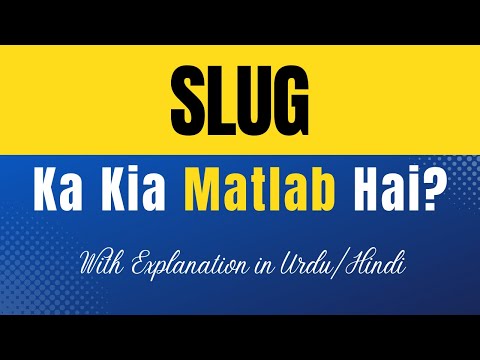 Slug Meaning in Urdu |'Slug Ka Kia Matlab Hota Hai'| Urdu/Hindi Explanation Included