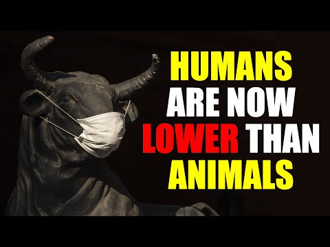 Humans Are Now Lower on the Social Hierarchy Than Animals
