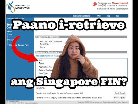 How to get your Singapore FIN online?