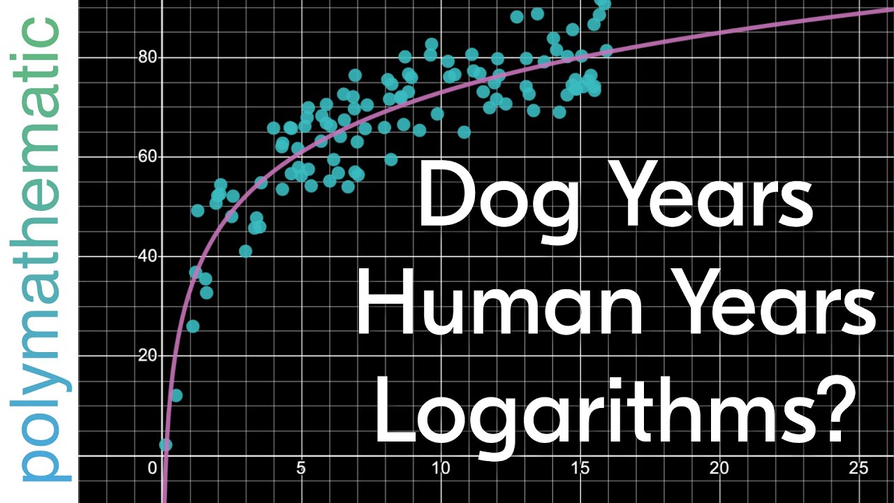We've Been Calculating Dog Years Wrong! The New Math [Math Mini]