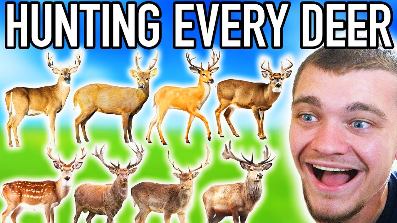 I Hunted Every Deer in the Hunter Call of the Wild!