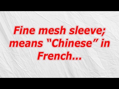 Fine mesh sleeve; means “Chinese” in French (CodyCross Crossword Answer)