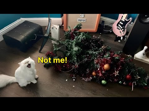 Not Me, The Wind Knocked It Over! Cats and Christmas Trees๐