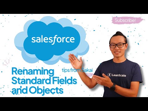 Salesforce Hacks | Renaming Standard Fields and Objects