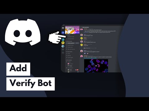 How To Add Verify Bot In Discord 2024