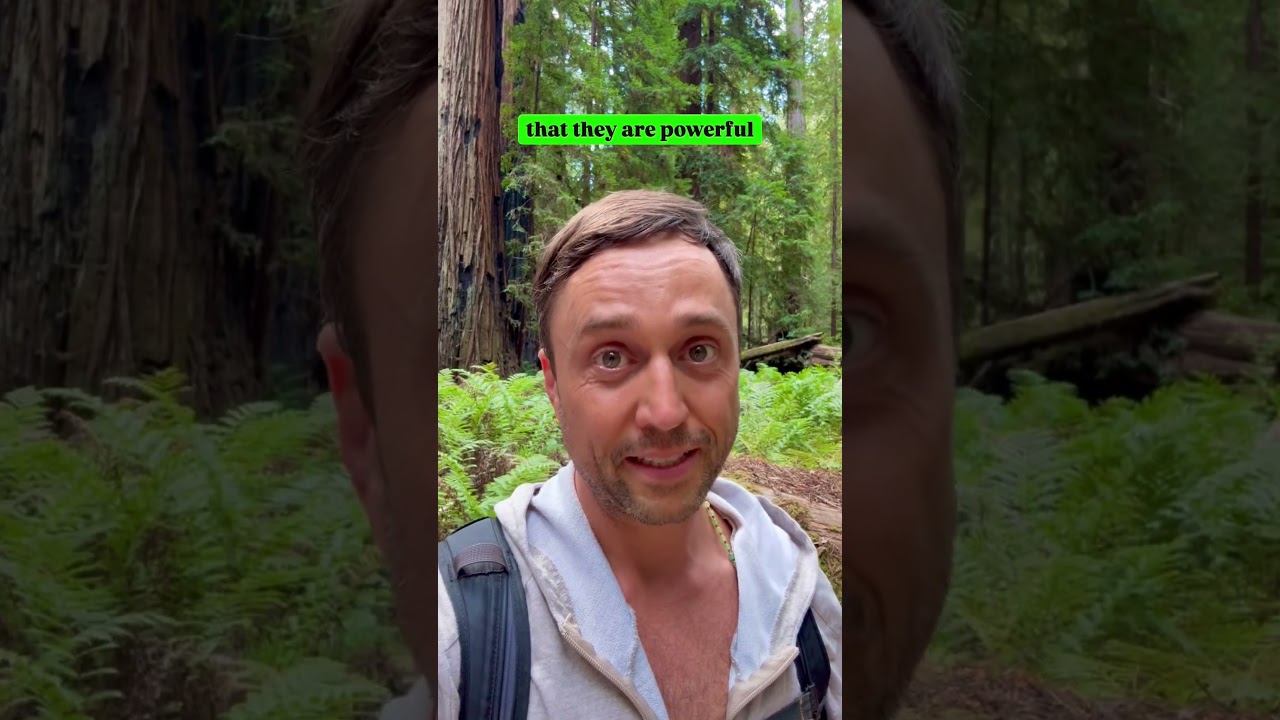 Sharing about Cannabis, Ayahuasca, Meditation, Yoga, and Spirituality…