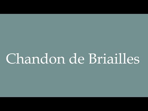 How to Pronounce ''Chandon de Briailles'' Correctly in French