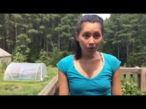 Pronounce Mellifera Homestead