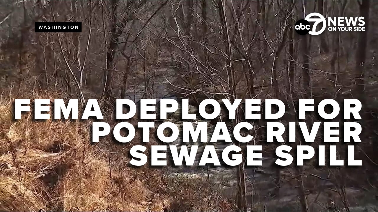 Trump orders federal response after Potomac sewer collapse spills raw sewage