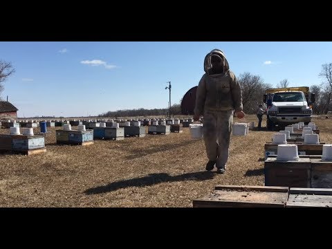Blanket feeding my Apiary, 1st round