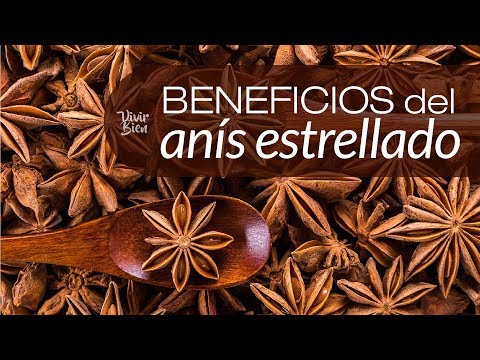 Propiedades del Anís Estrellado y Beneficios