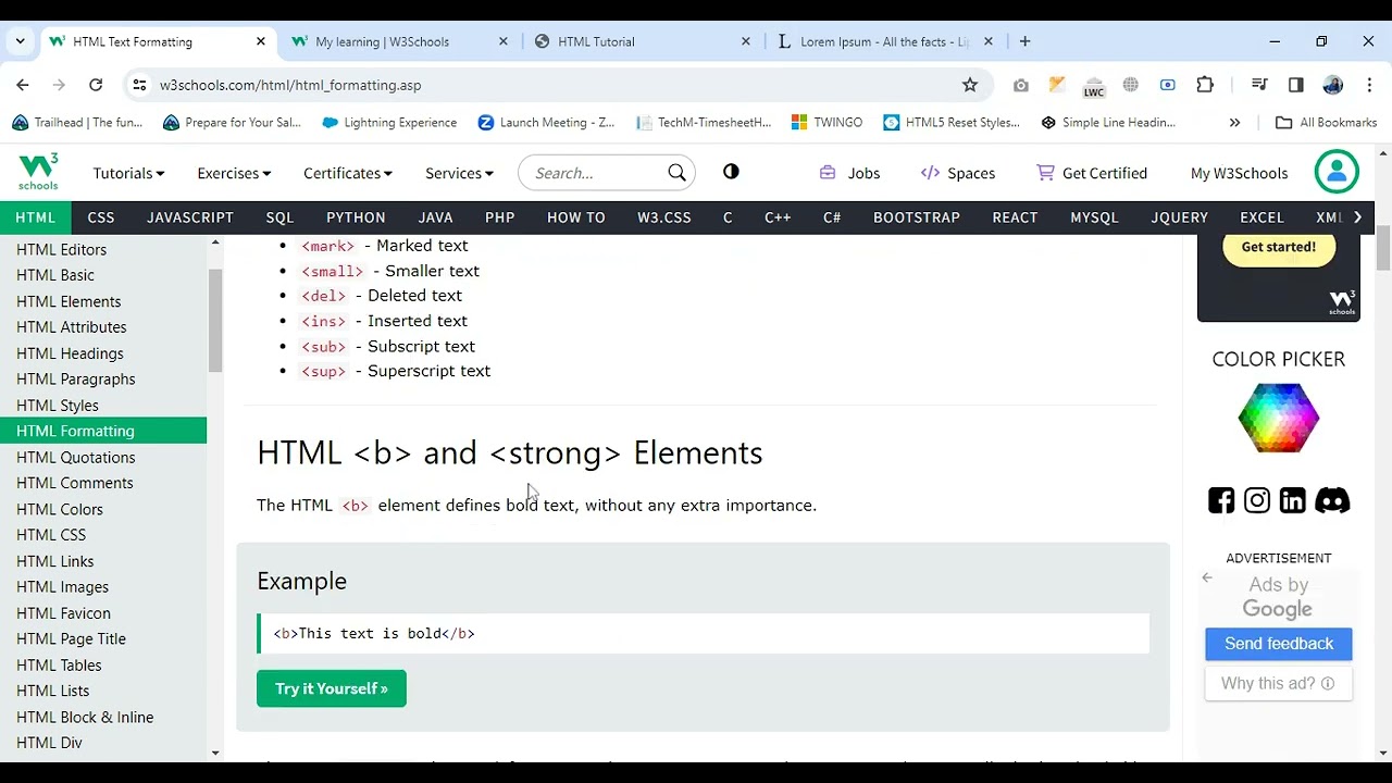 W3Schools HTML Tutorial 05 | Text Formatting