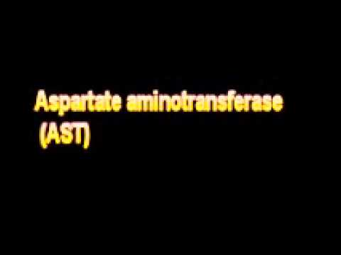 What Is The Definition Of Aspartate aminotransferase AST Medical Dictionary Free Online