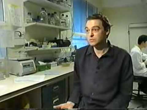 The English are German Anglo-Saxons.WMV