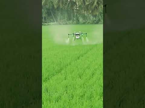 Agri Drone Sprayer . #agriculture #agridrone #agritech #drone #modrenfarming #paddy #spray