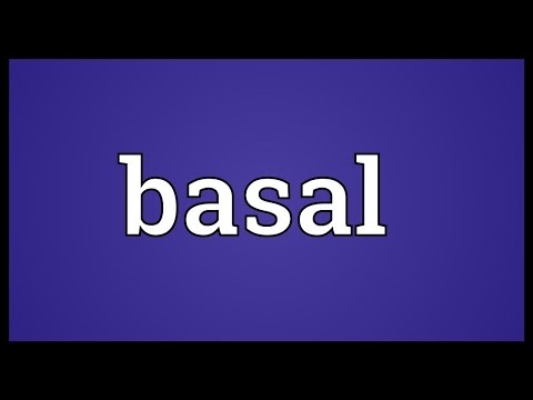 Basal Meaning
