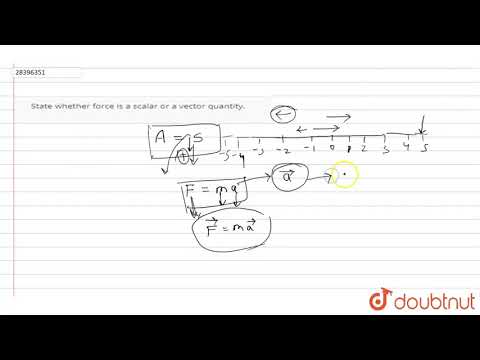 State whether force is a scalar or a vector quantity.