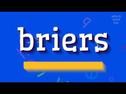 BRIERS - HOW TO SAY BRIERS? #briers