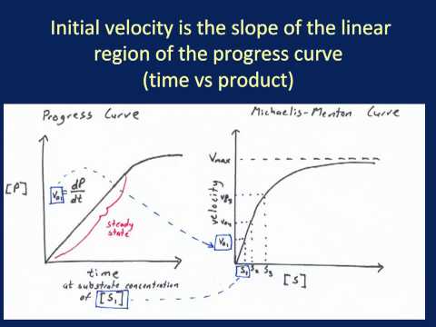 BioLEd minilecture for enzyme kinetics laboratory