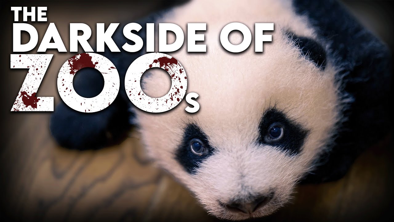 Zoos: The Dark Side of Animal Captivity