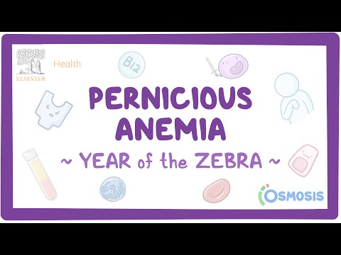 Pernicious Anemia (Year of the Zebra)