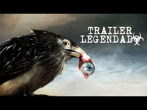 Flu Bird Horror Watch Online – mattnoti1970 blog