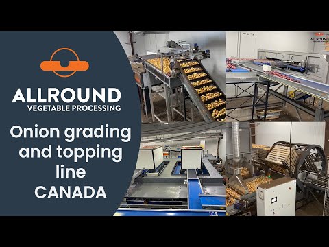 Onion Grading Machine at Best Price in India