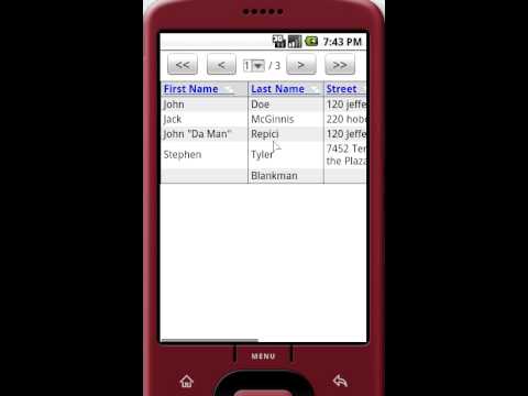 CSV Viewer Pro-HowTo-OpenCSVfromSDcard.mov