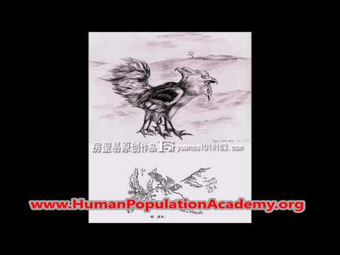Description of Men Born On October 17th of Common Years From the Catalog of Human Population