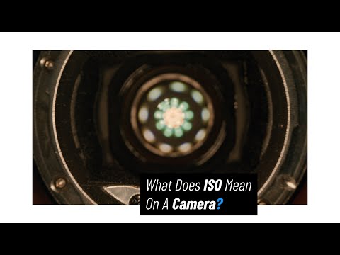 What Does ISO Mean On A Camera?