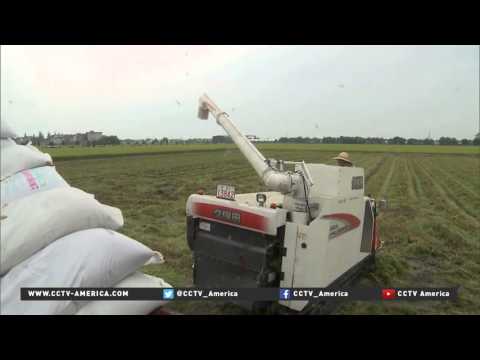 Agricultural tech in China beats the odds