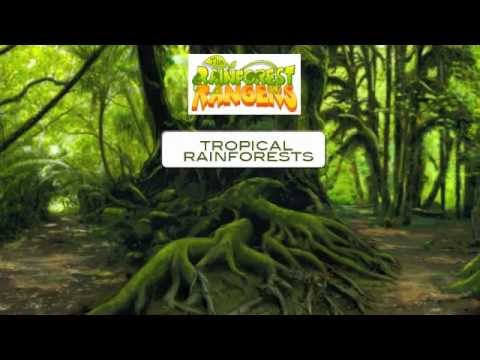 Tropical Rainforests by The Rainforest Rangers