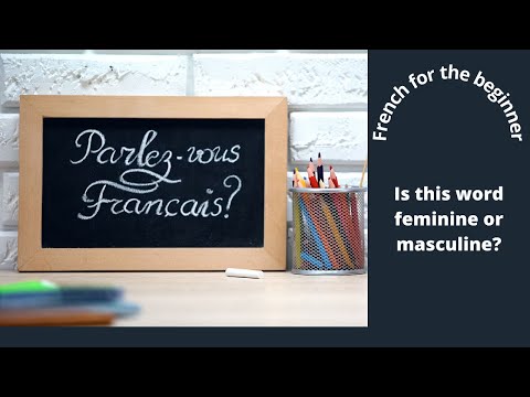 Your 2 Minute French Lesson - What gender is that word?