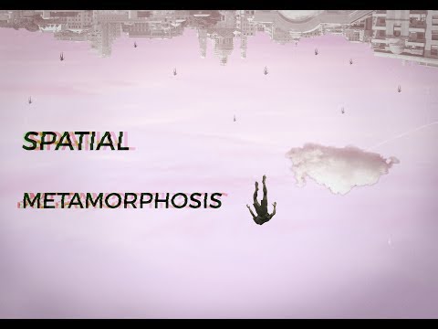 Spatial Metamorphosis - For a Definition of Architectural Identity