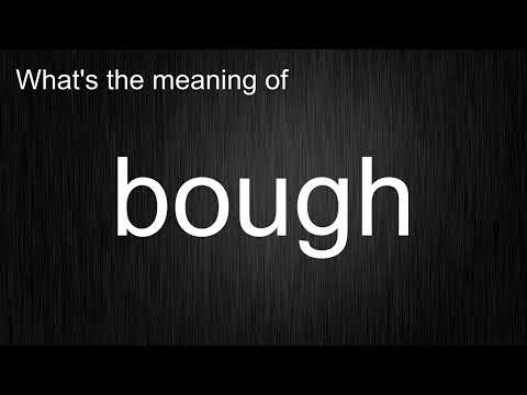 What's the meaning of "bough", How to pronounce bough?
