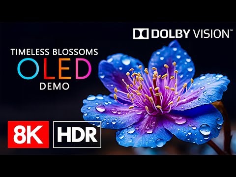 Timeless Blossoms HDR 8K Ultra HD Dolby Vision™ 120fps | 8K Video