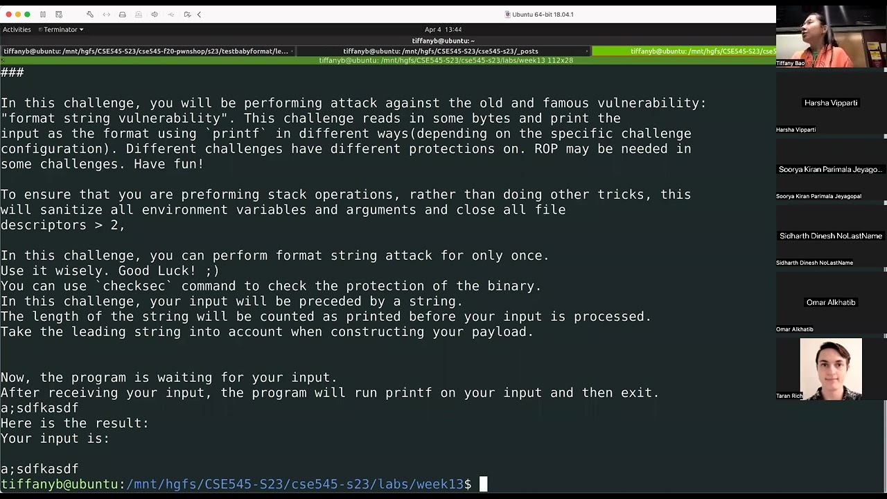 Week 13 Format String Assignment