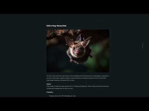 Koala.sh Review: Is This The Best AI Writing Tool?