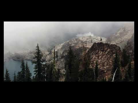 DUTCH CARSON – rootstown bookings