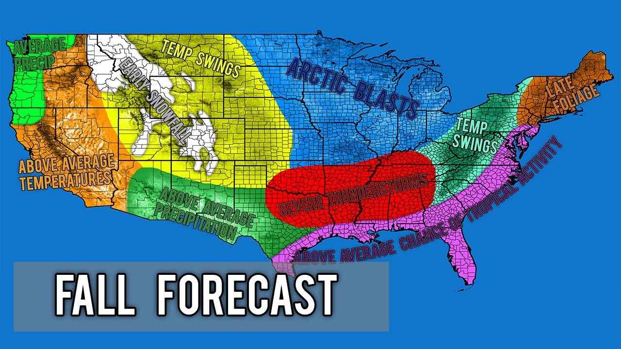 1st Fall 2019 Forecast