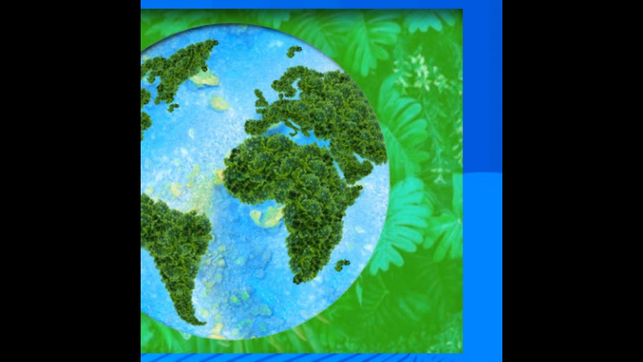 The green revolution: Turning aging oil refineries into renewable fuel producers