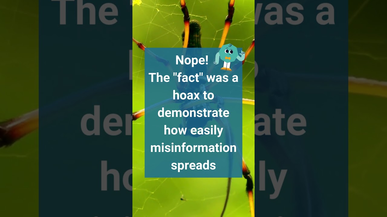 Fast Facts: Spiders in sleep