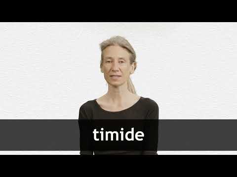 English Translation of “TIMIDE” | Collins French-English Dictionary