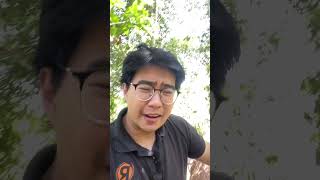 Bohol provincial gov't looking into 2 other tourist attractions built ...